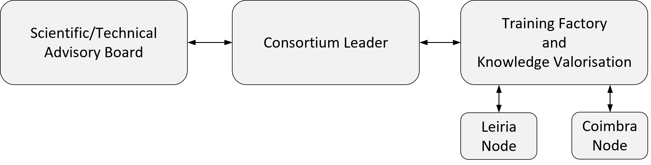 Governance Model – PAMI